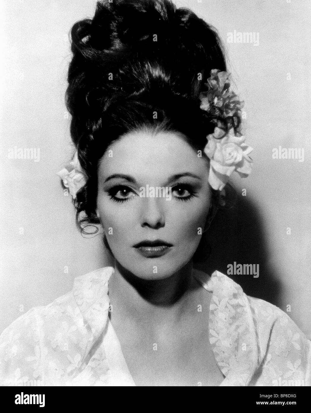 Poontang Stock Photos & Poontang Stock Images - Alamy