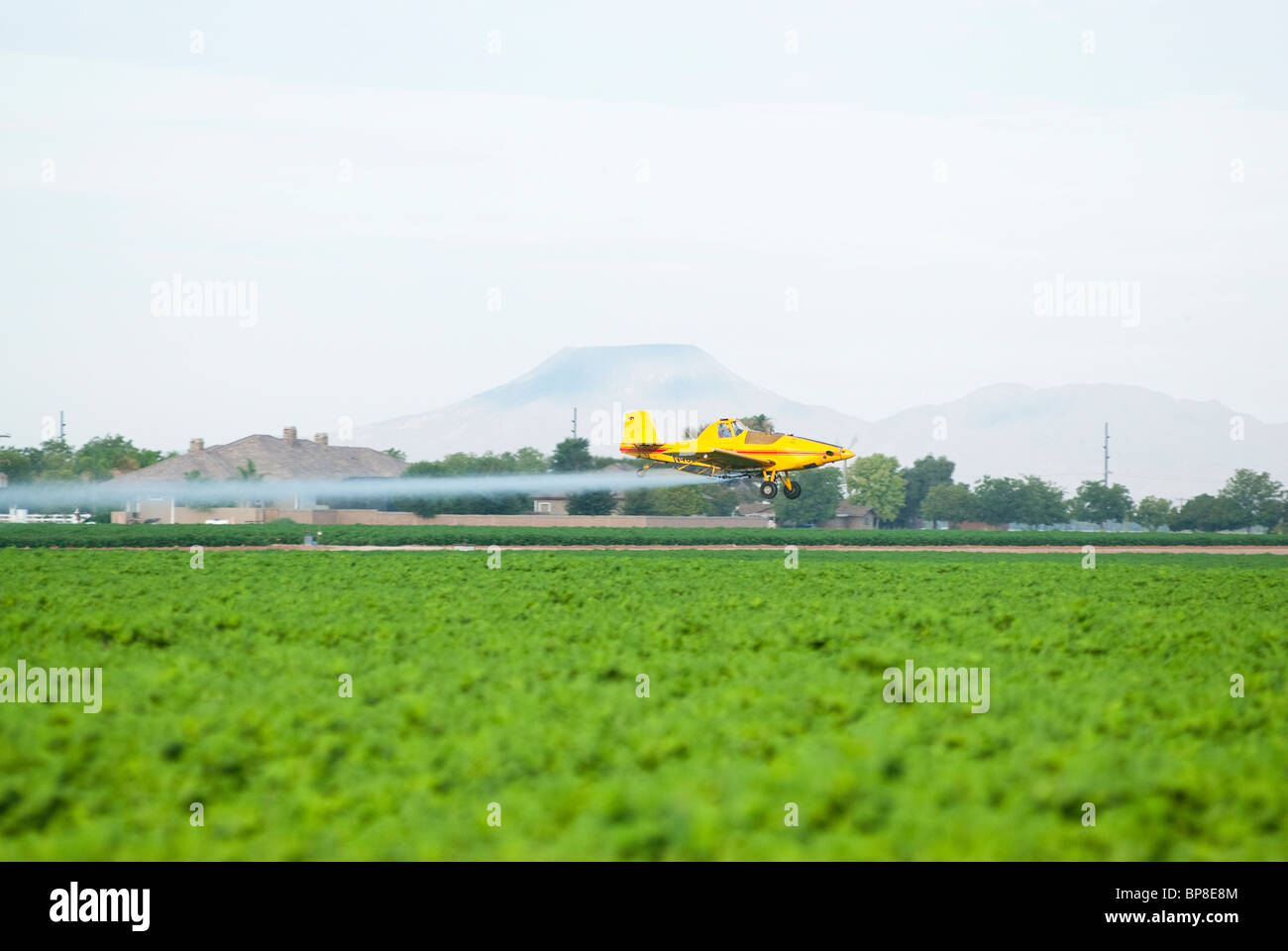 Crop duster spraying cotton hi-res stock photography and images - Alamy