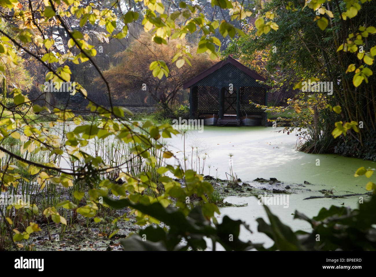 Lake at Rippon Lea Estate, Melbourne, Australia Stock Photo - Alamy