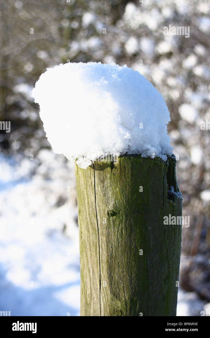 Snow on a fence post Stock Photo - Alamy