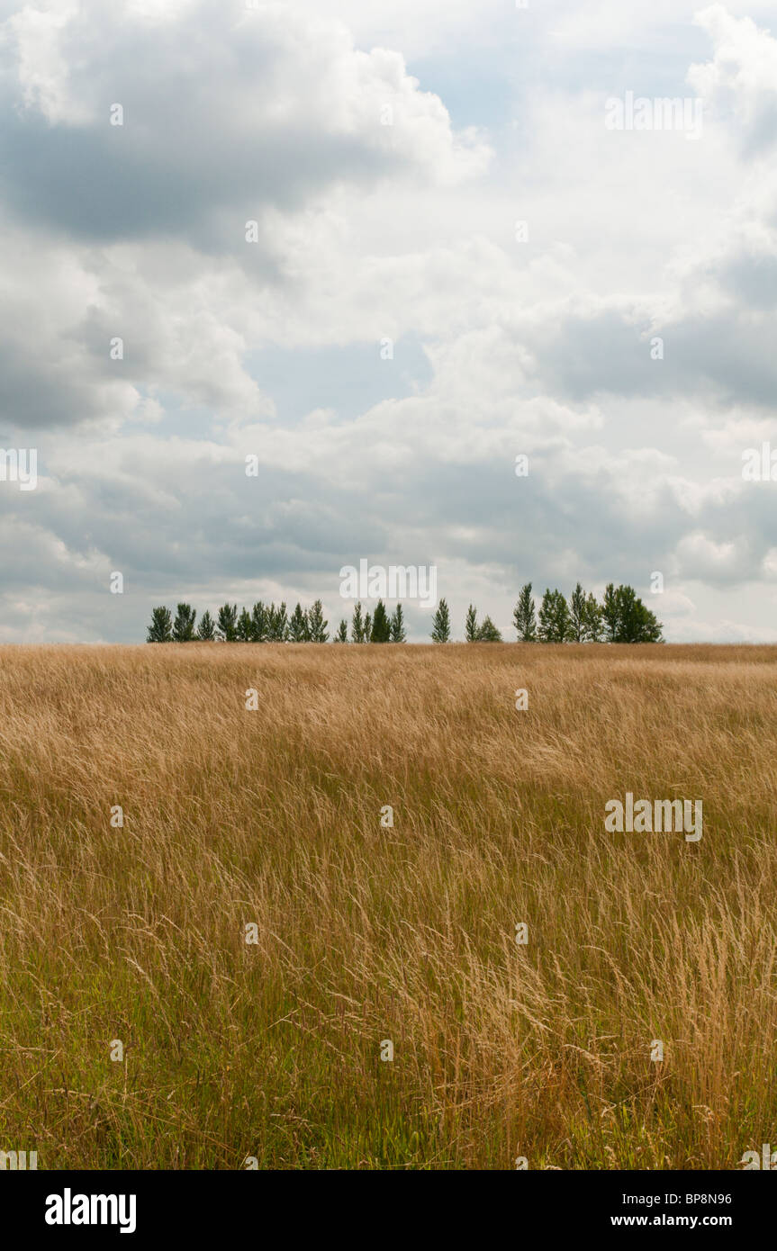 Cumulonimbus summer clouds uk hi-res stock photography and images - Alamy