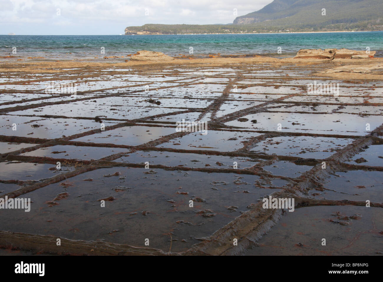 Tesselated Pavement in Tasmania Stock Photo - Alamy