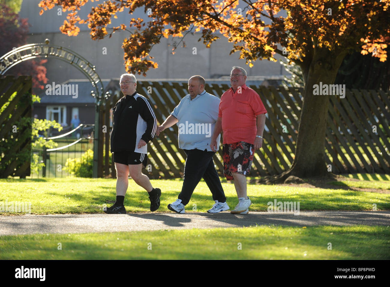 Three fat men walking in the park Stock Photo - Alamy