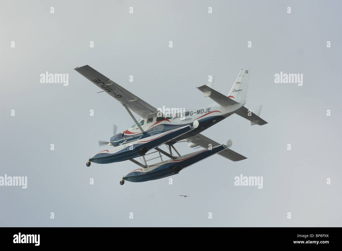 Seaplane inflight over the coast of Scotland Stock Photo - Alamy