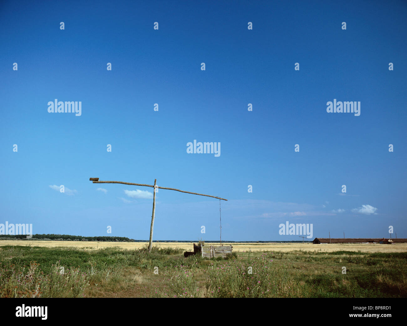 Grassy Field and Blue Sky in Hungary. Europe Stock Photo - Alamy
