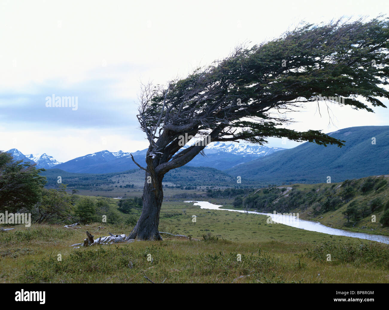 Stream river tierra hi-res stock photography and images - Alamy
