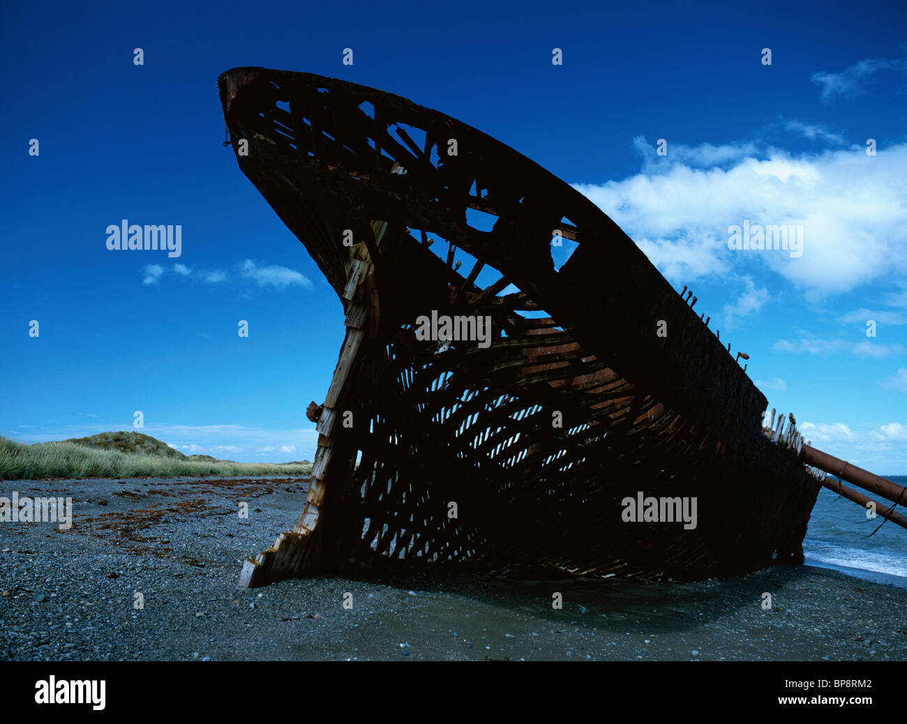 The Rusted Frame of a Wrecked Ship on a Beach. Chile, South America ...