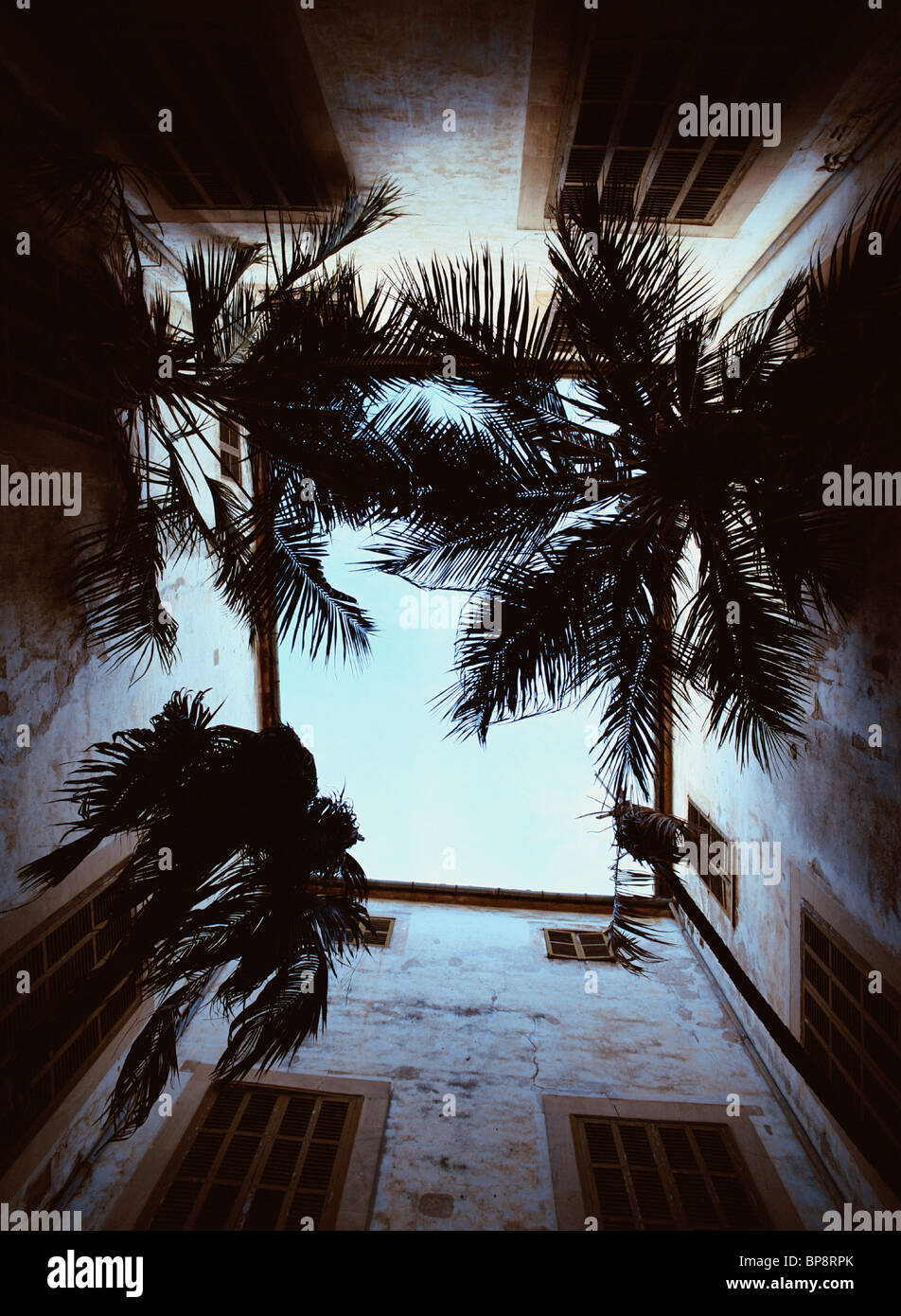 Courtyard With Palm Trees, Mallorca, Spain Stock Photo - Alamy