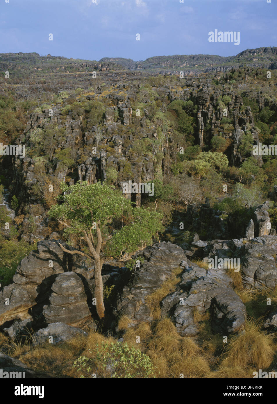 Rocks in a Mountain Range With Trees, Northern Territory, Australia ...
