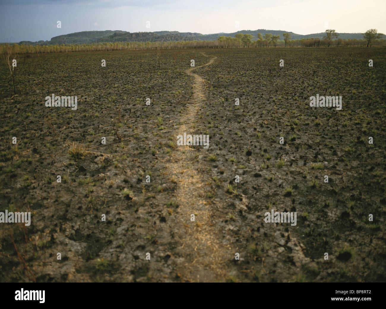 Footpath in Desert Surroundings, Northern Territory, Australia Stock ...