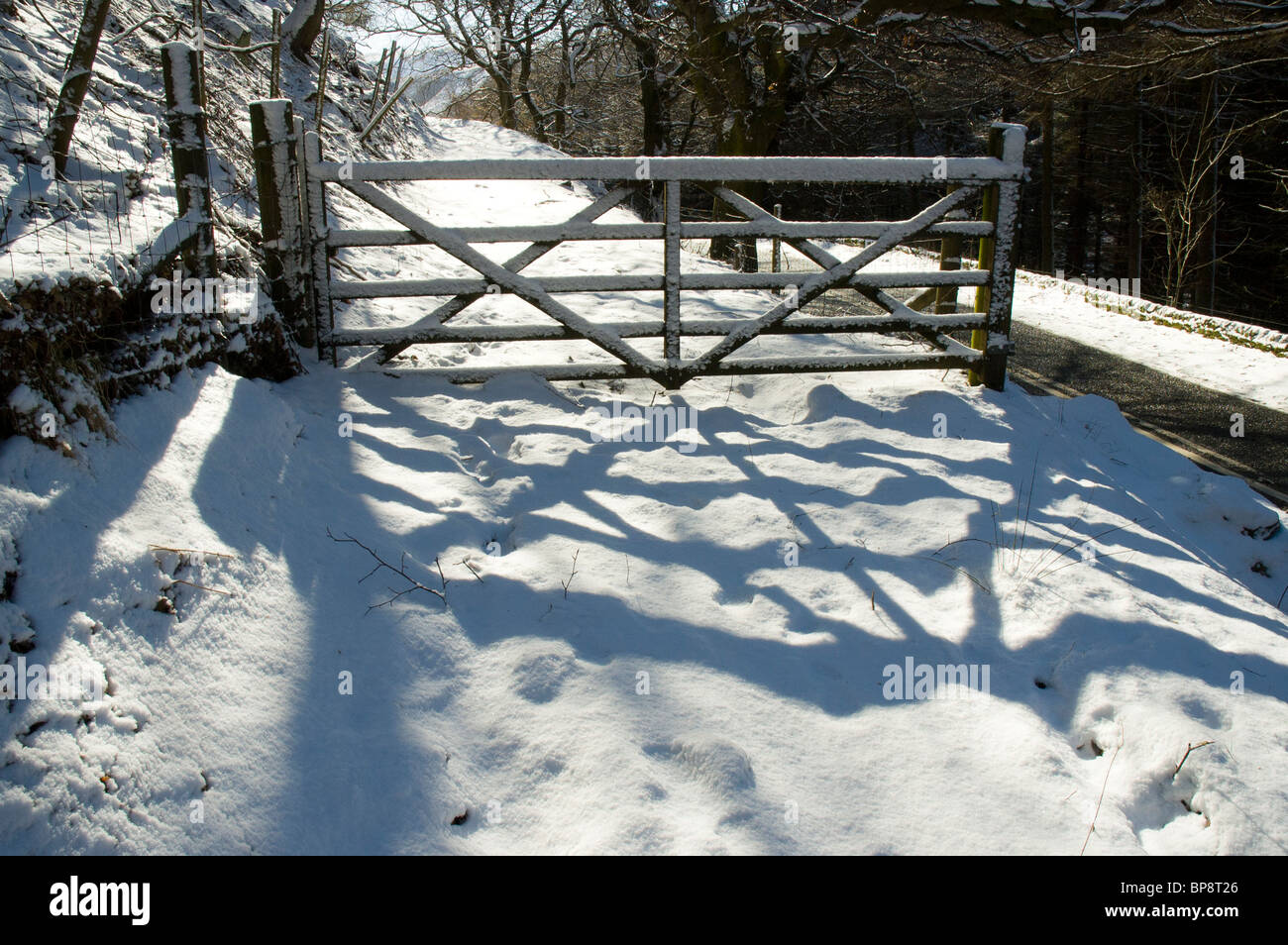 Frozen Five Bar Farm Gate High Resolution Stock Photography and Images ...