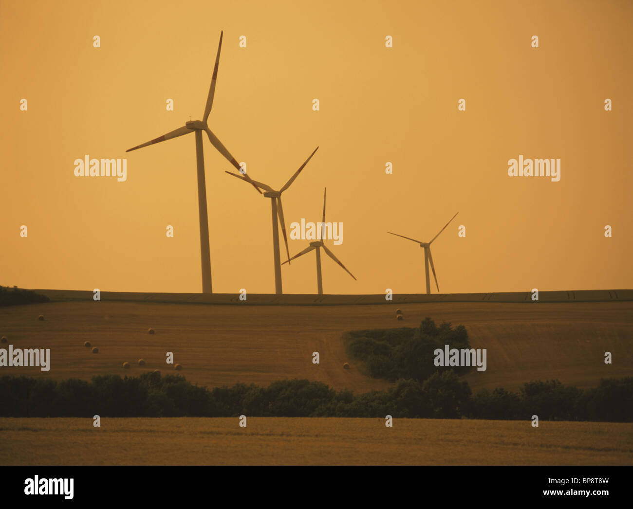 A Cluster of Wind Turbines in a Field at Sunset Stock Photo - Alamy