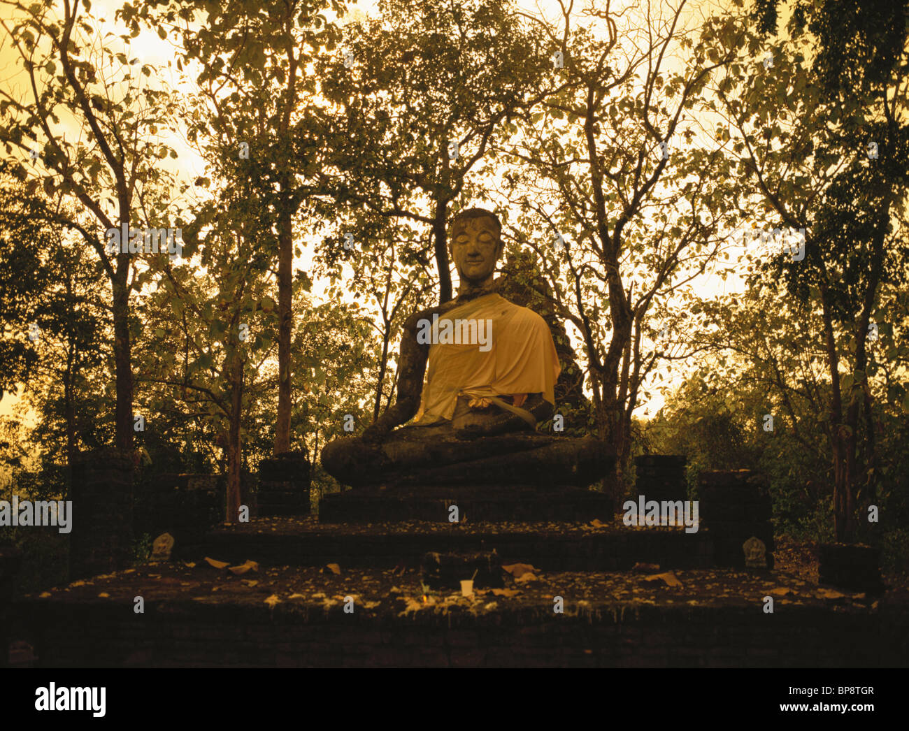Statue in park surrounded trees hi-res stock photography and images - Alamy
