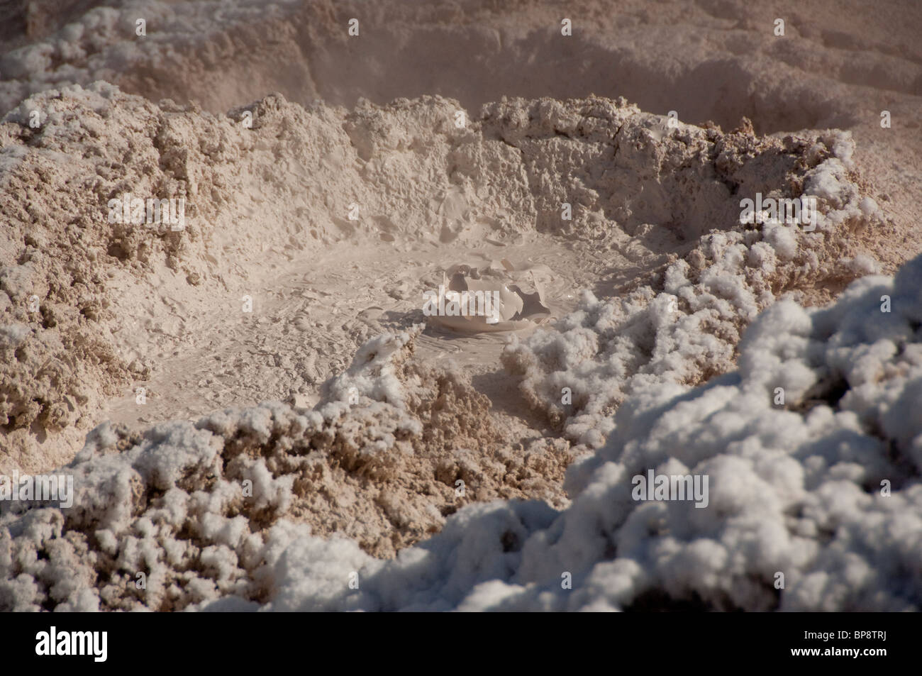 USA, Wyoming. Yellowstone National Park. Lower Geyser Basin, Fountain ...