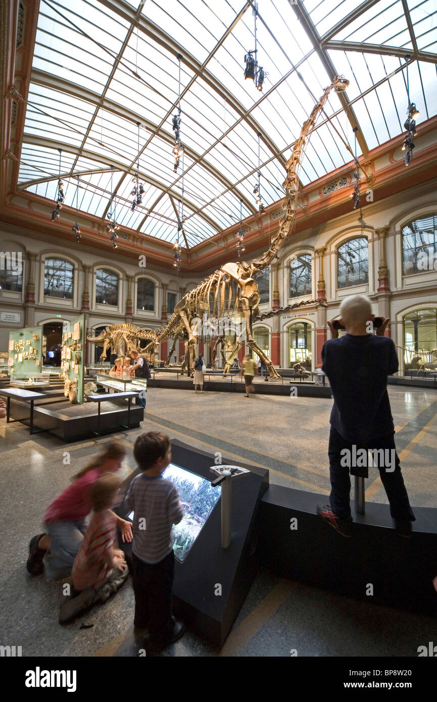 Museum fuer Naturkunde, Berlin Museum of Natural History Stock Photo ...