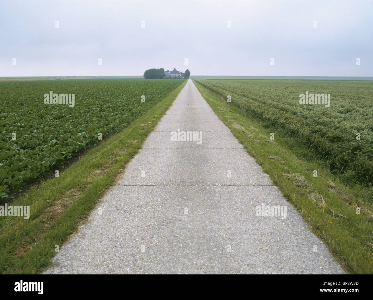 Road through a building hi-res stock photography and images - Alamy