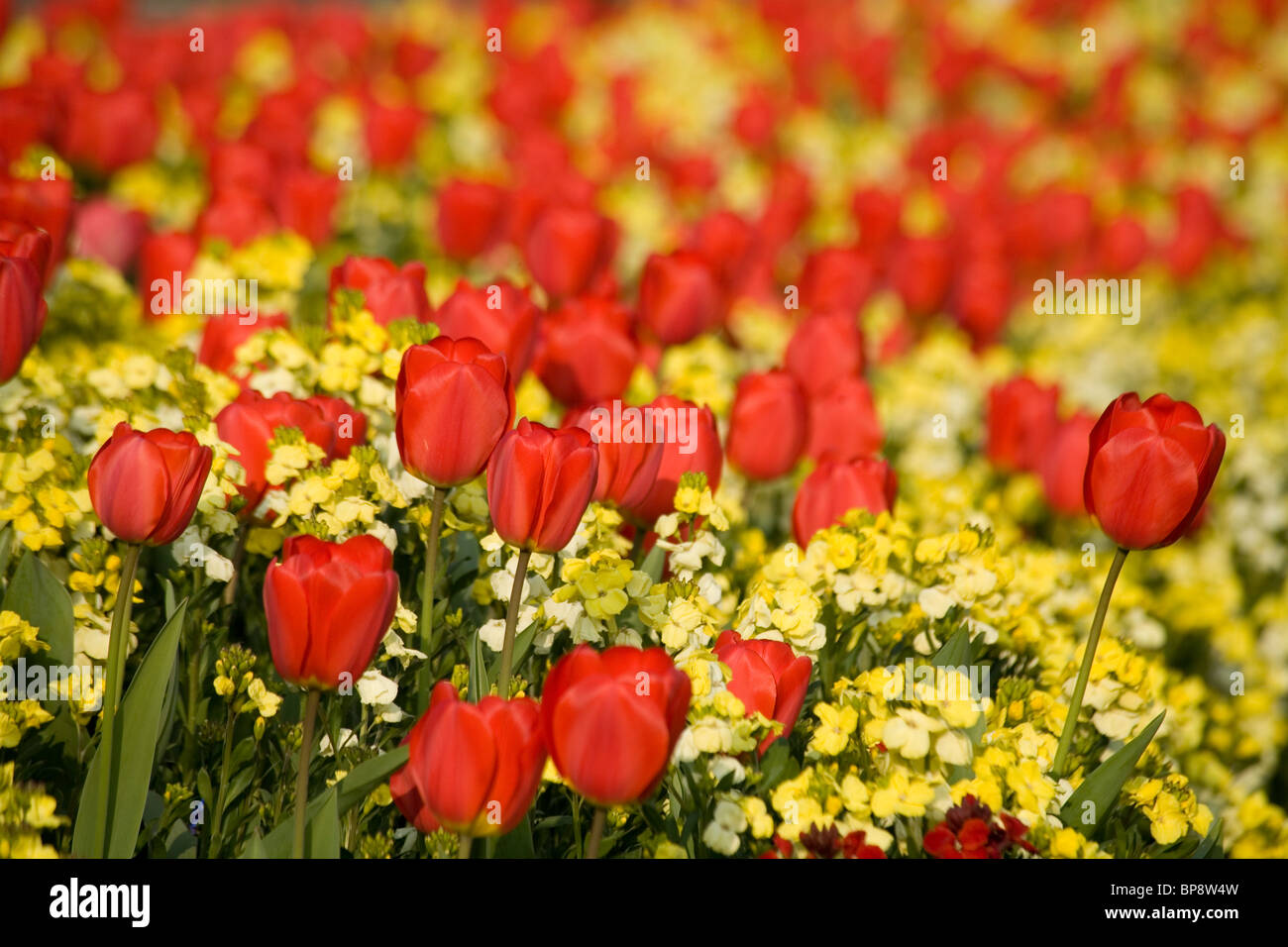 Spring london hi-res stock photography and images - Alamy