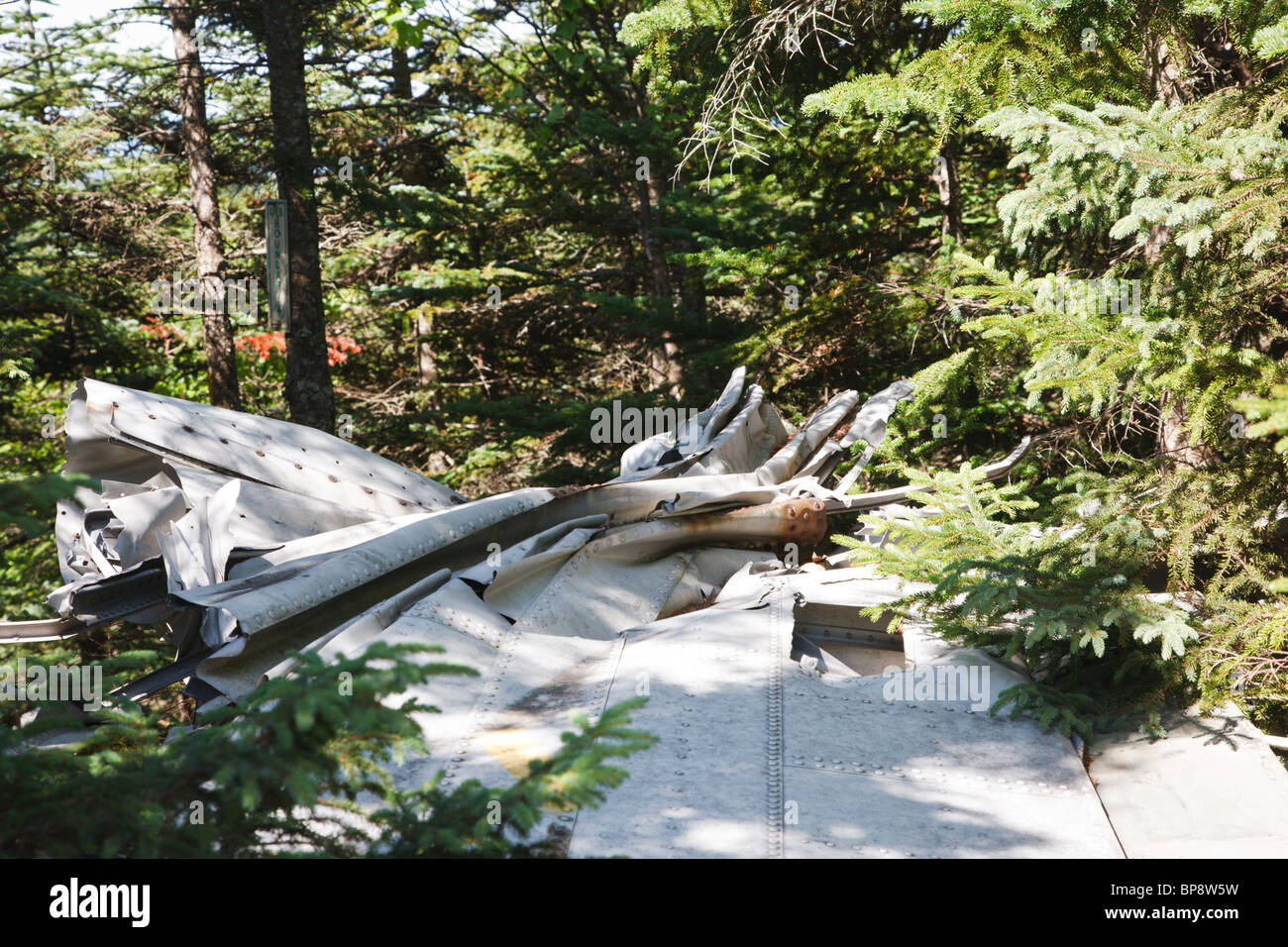 Crash site of Northeast Airlines Flight 792 on Mount Success in the ...