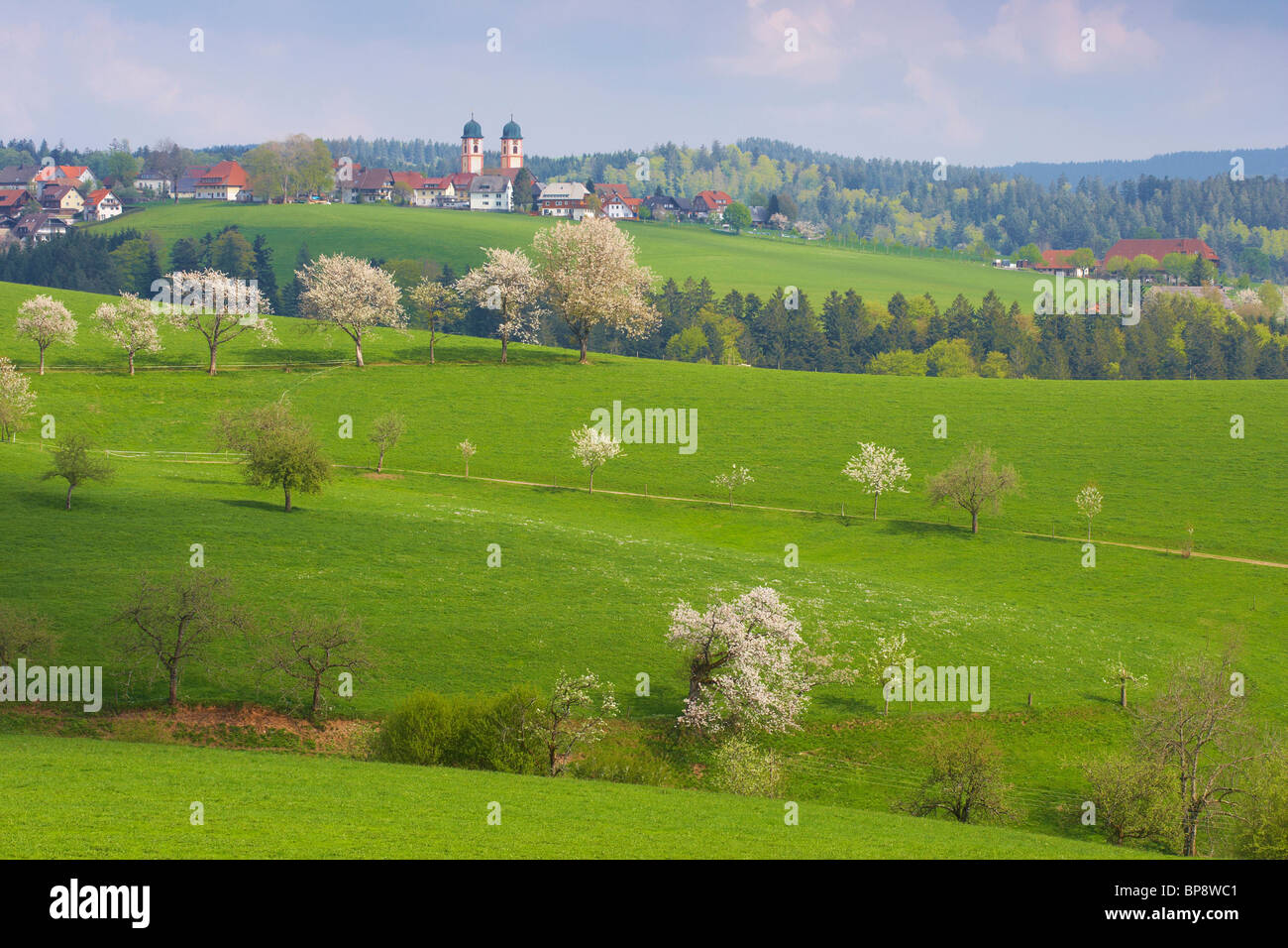 Spring day at St. Maergen, Black Forest, Baden-Wuerttemberg, Germany ...