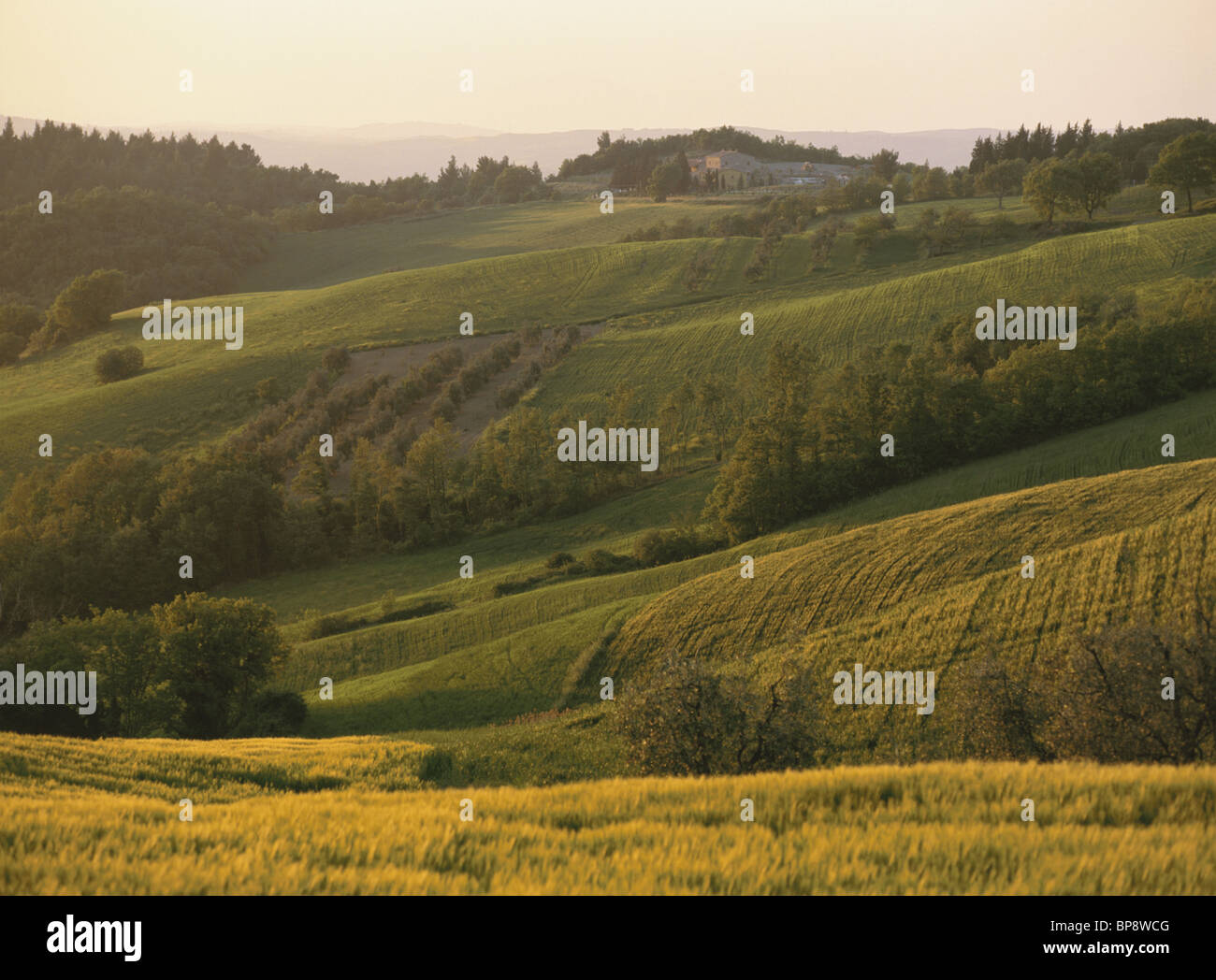 Rolling fields tuscany sunset hi-res stock photography and images - Alamy