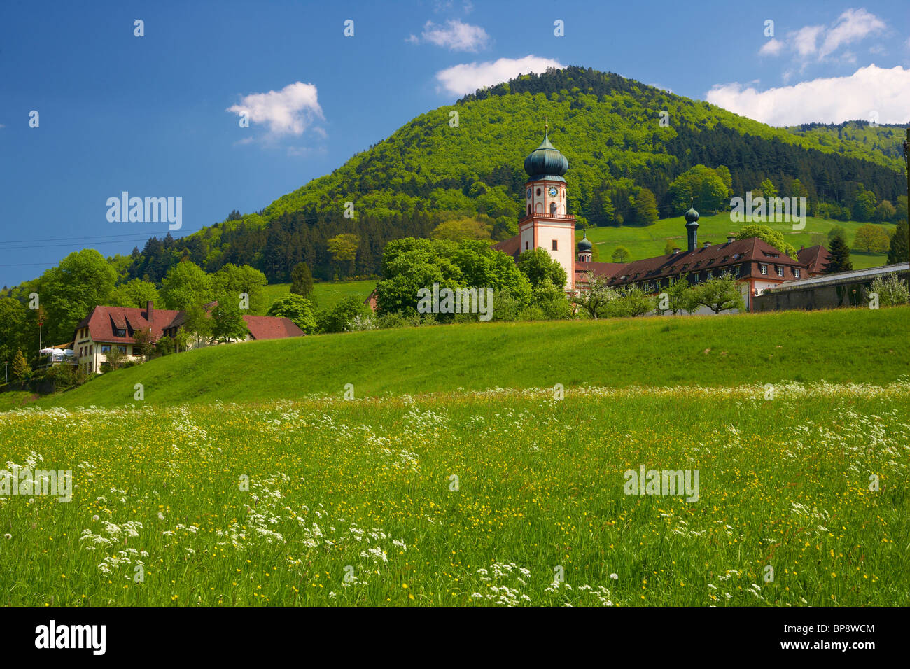 Munstertal Valley High Resolution Stock Photography and Images - Alamy