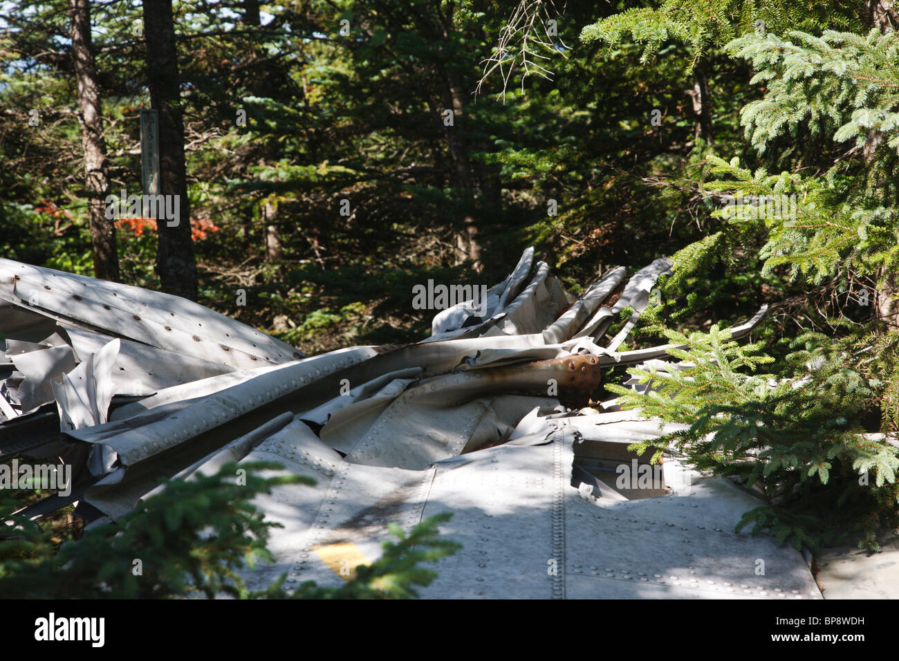 Crash site of Northeast Airlines Flight 792 on Mount Success in the ...