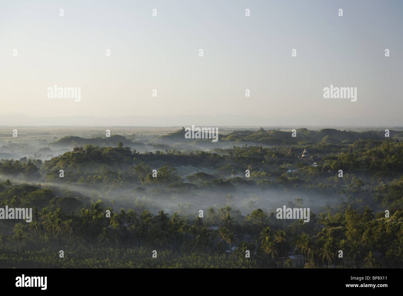 Rainforest Shrouded in Fog at Twilight. Myanmar Stock Photo - Alamy