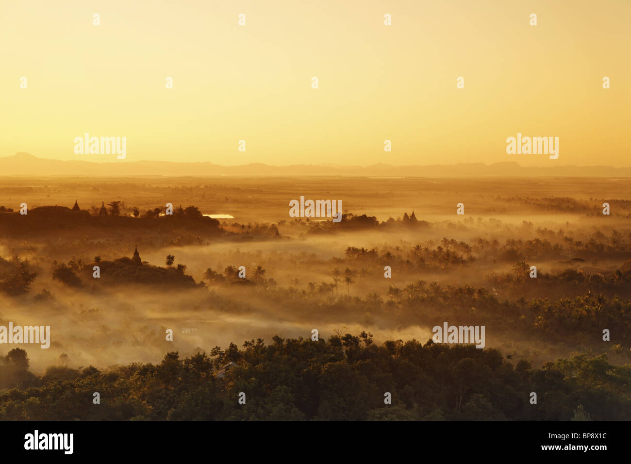 Orange Toned Image of a Rainforest Shrouded in Fog at Sunset. Myanmar ...