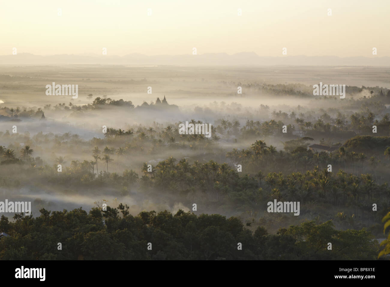 Rainforest Shrouded in Fog at Sunset. Myanmar Stock Photo - Alamy