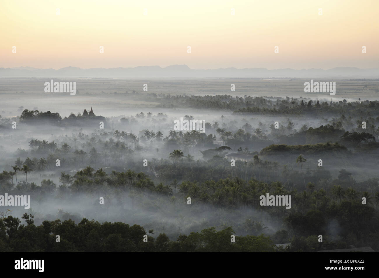 Rainforest Shrouded in Fog at Sunset. Myanmar Stock Photo - Alamy