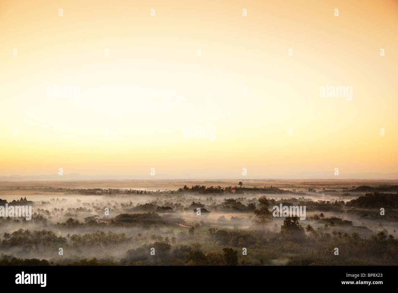Rainforest Shrouded in Fog at Sunset. Myanmar Stock Photo - Alamy