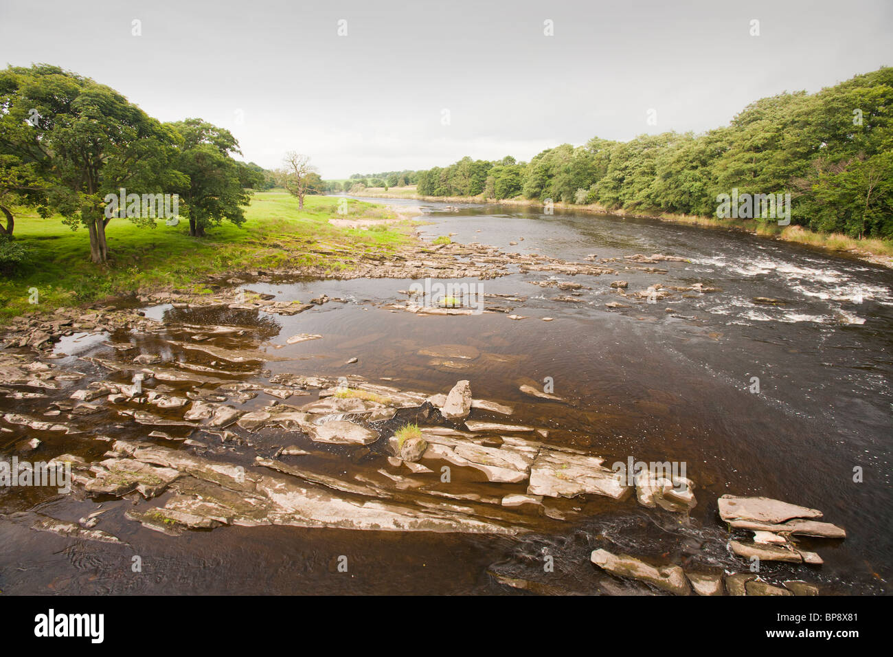 The River Ribble near Dinkley, Lancashire, UK Stock Photo - Alamy