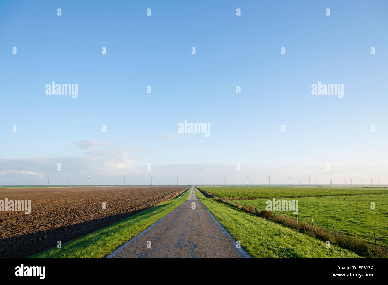 A Country Road Leading Through Farmlands. Groningen, Netherlands ...