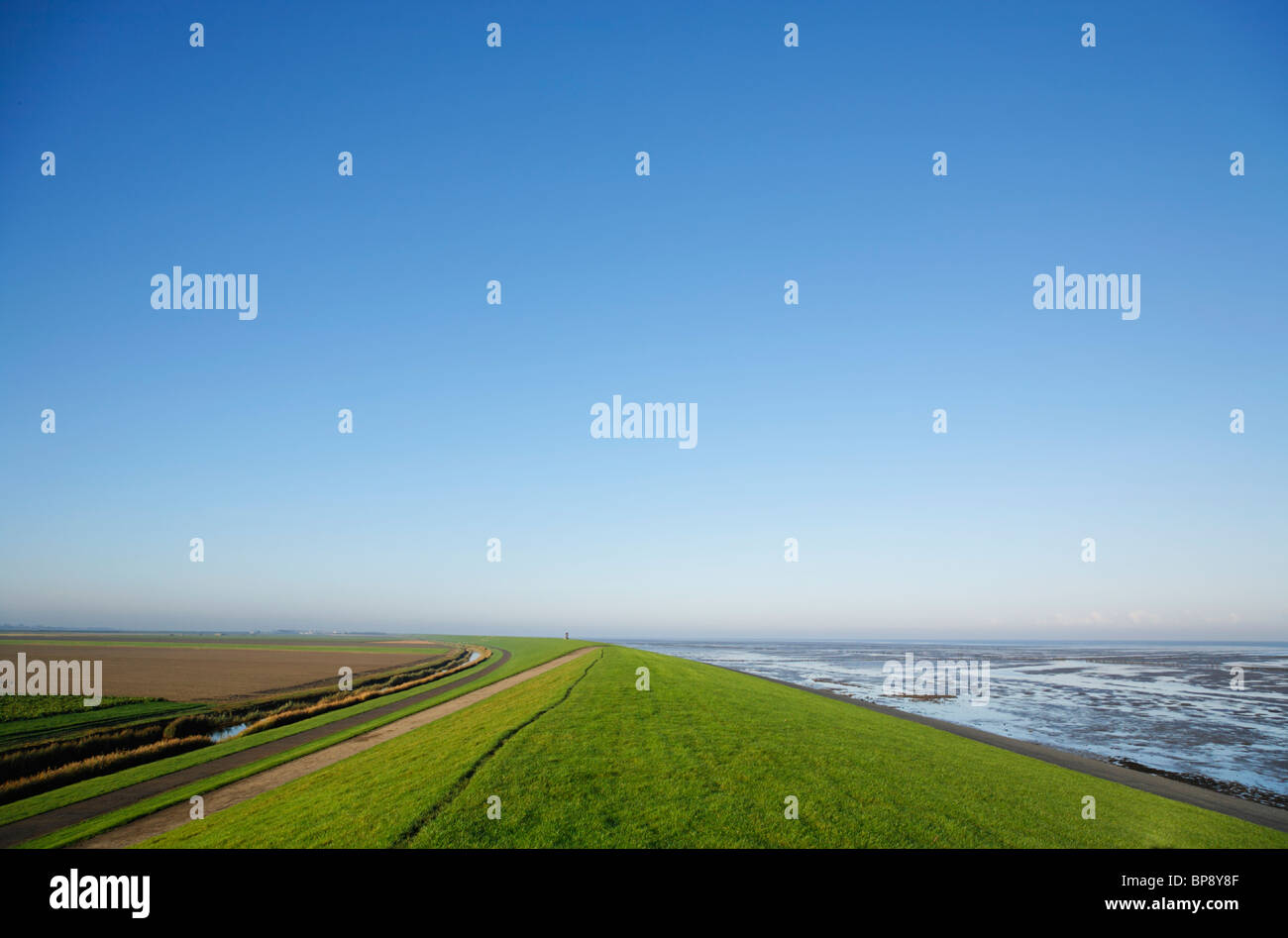 A Grassy Field by the Ocean. Groningen, Netherlands, Europe Stock Photo ...