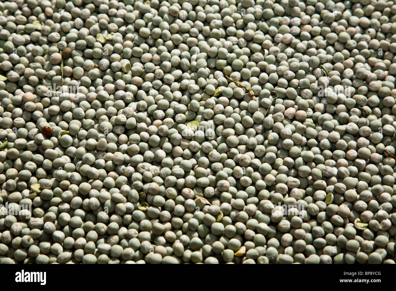 Dried peas hi-res stock photography and images - Alamy