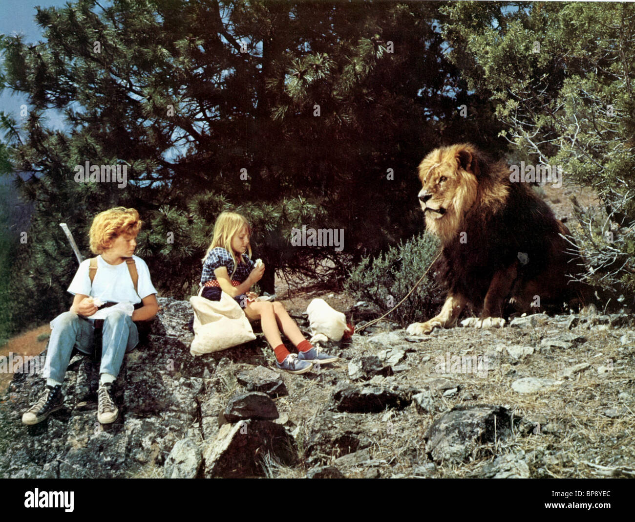 Johnny Whitaker High Resolution Stock Photography and Images - Alamy