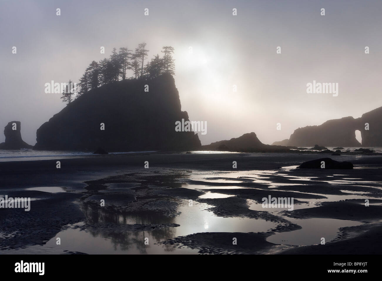 Sea Stacks at dusk, Pacific Coast, Olympic Nationalpark, Washington ...
