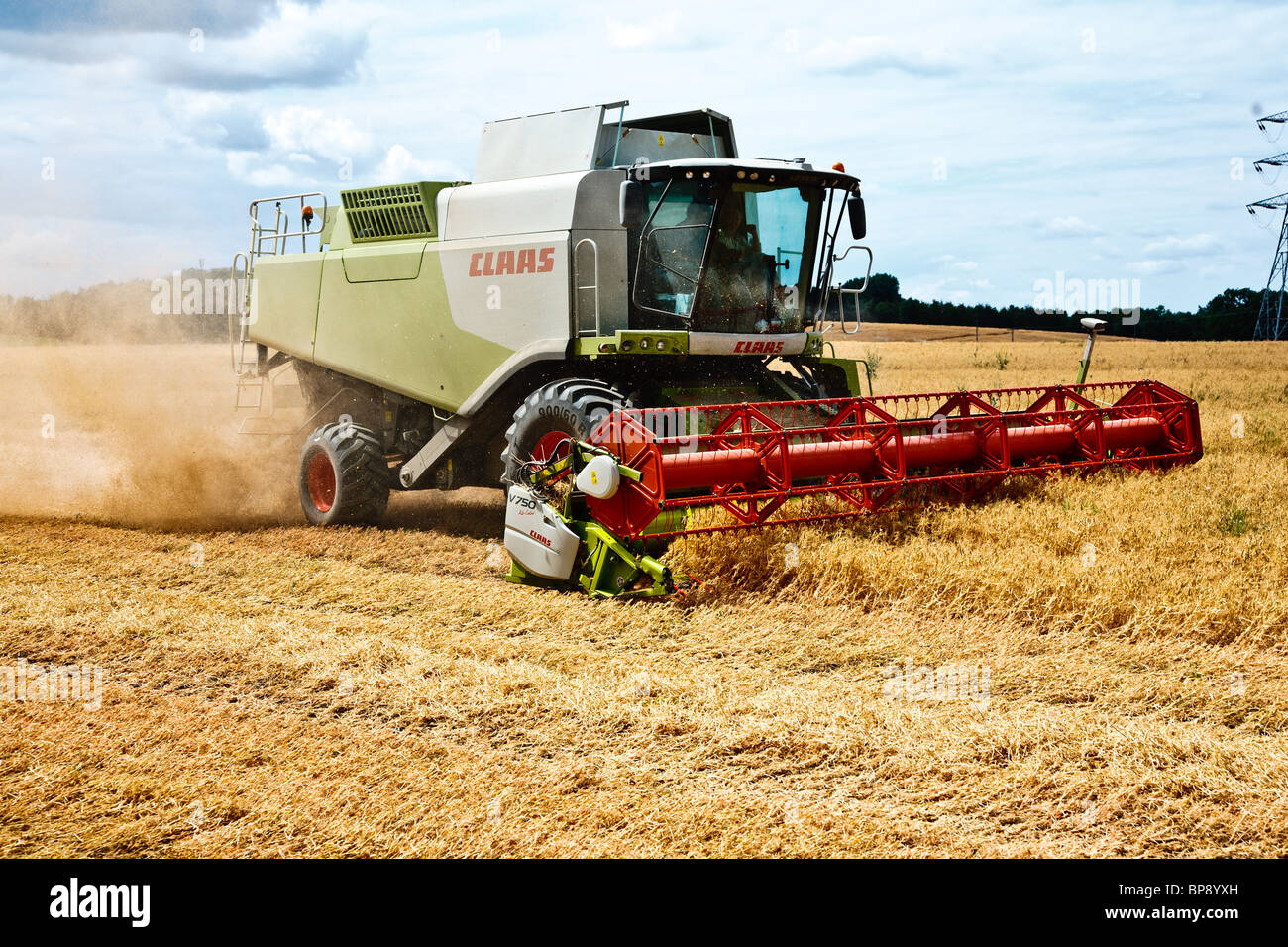 combining peas with a Claas Montana 570 Combine. These peas are first ...