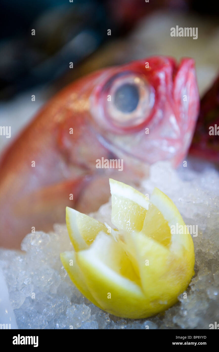 Yellow lemon and red fish at Vila do Peixe Restaurant, Camara de Lobos ...