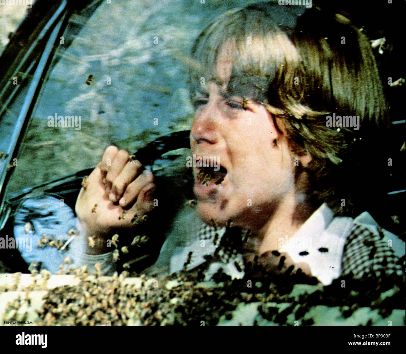 The Swarm 1978 High Resolution Stock Photography and Images - Alamy