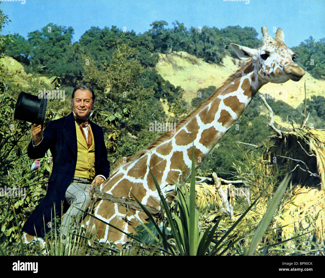 Cinema Giraffe High Resolution Stock Photography and Images - Alamy