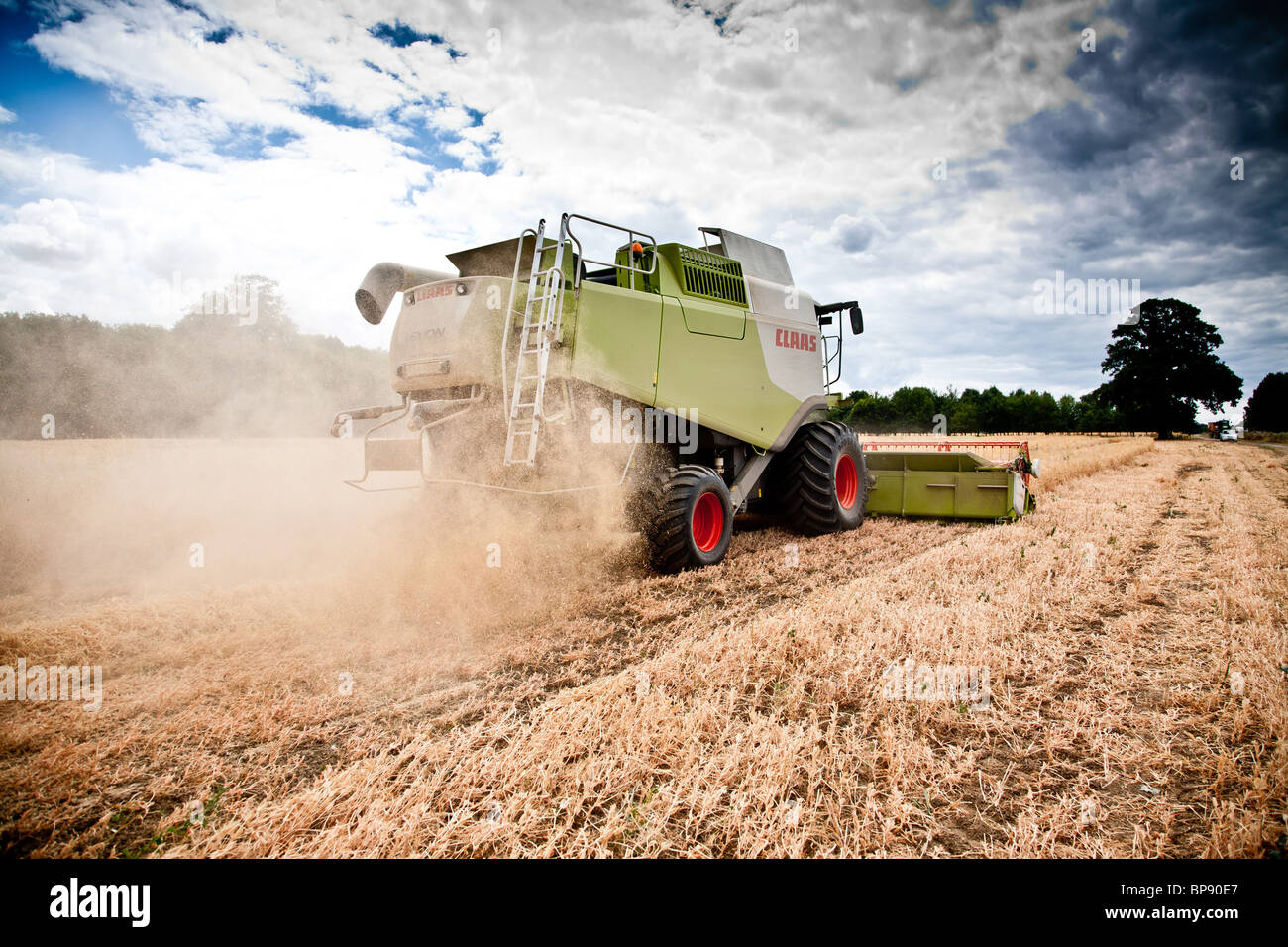 Field of peas uk hi-res stock photography and images - Alamy