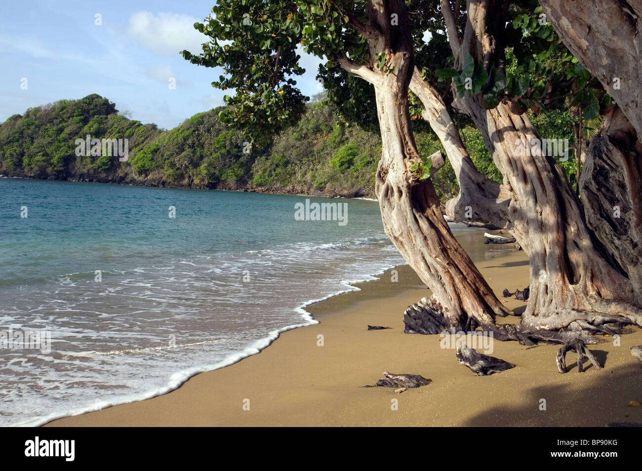 Trinidad Tobago Beach Hotel