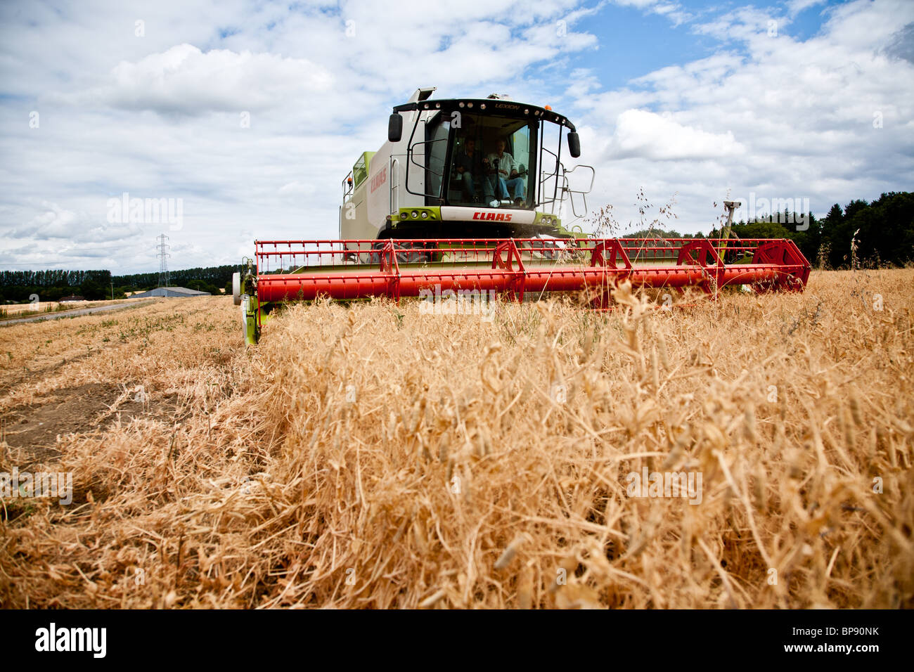Combine combining hi-res stock photography and images - Alamy