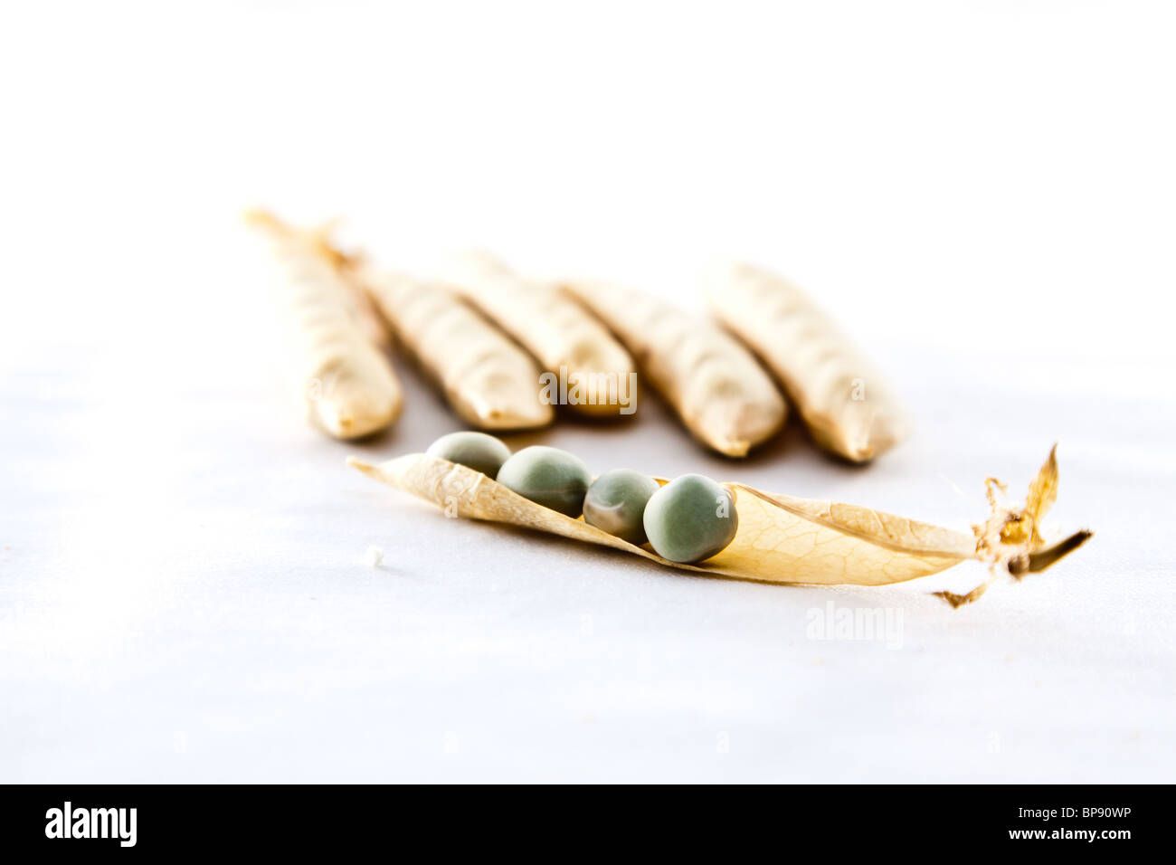 Still Life images of dried peas with teir pods Stock Photo - Alamy