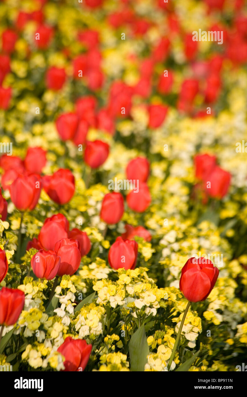 Spring london hi-res stock photography and images - Alamy