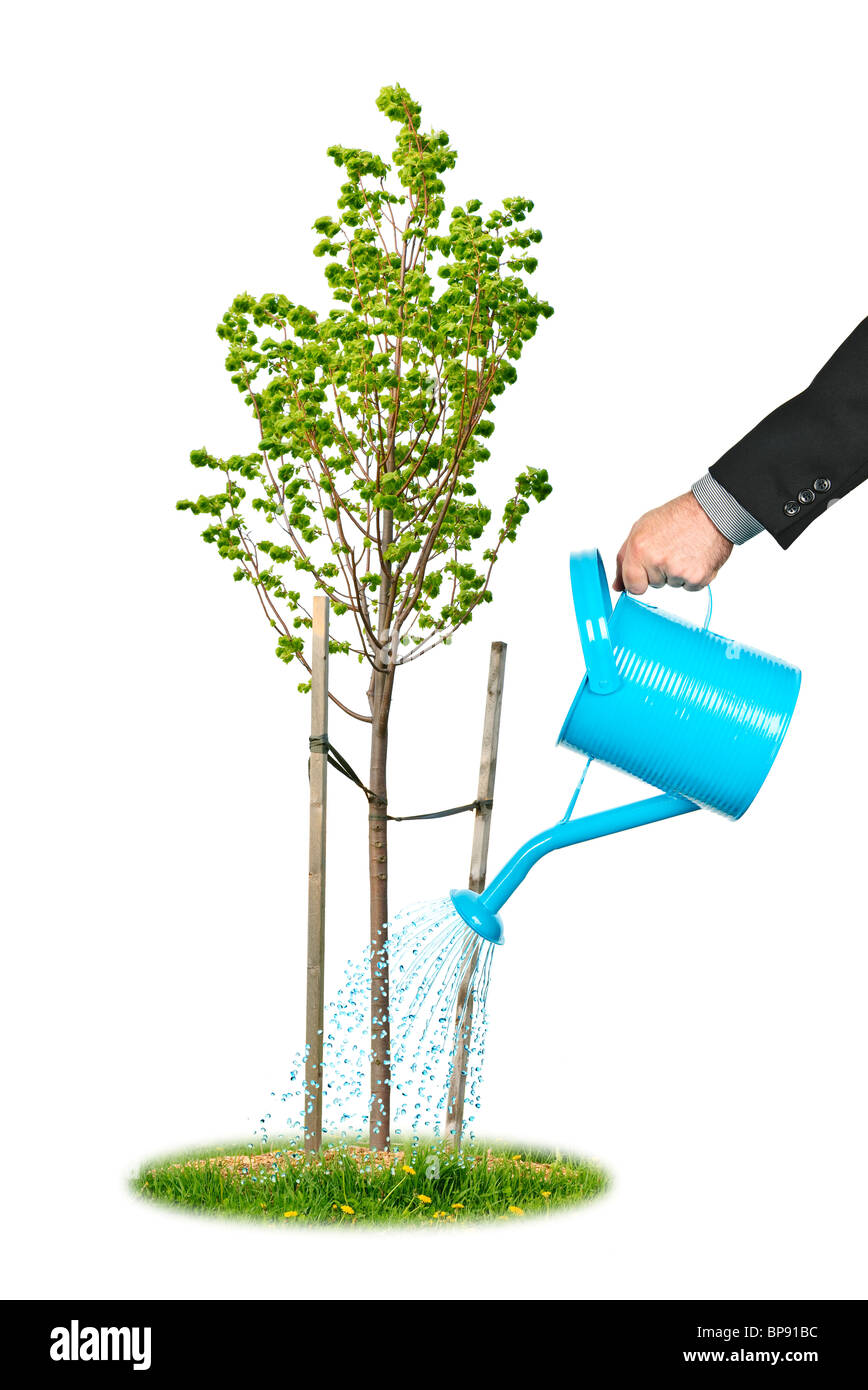 Hand watering can hi-res stock photography and images - Alamy