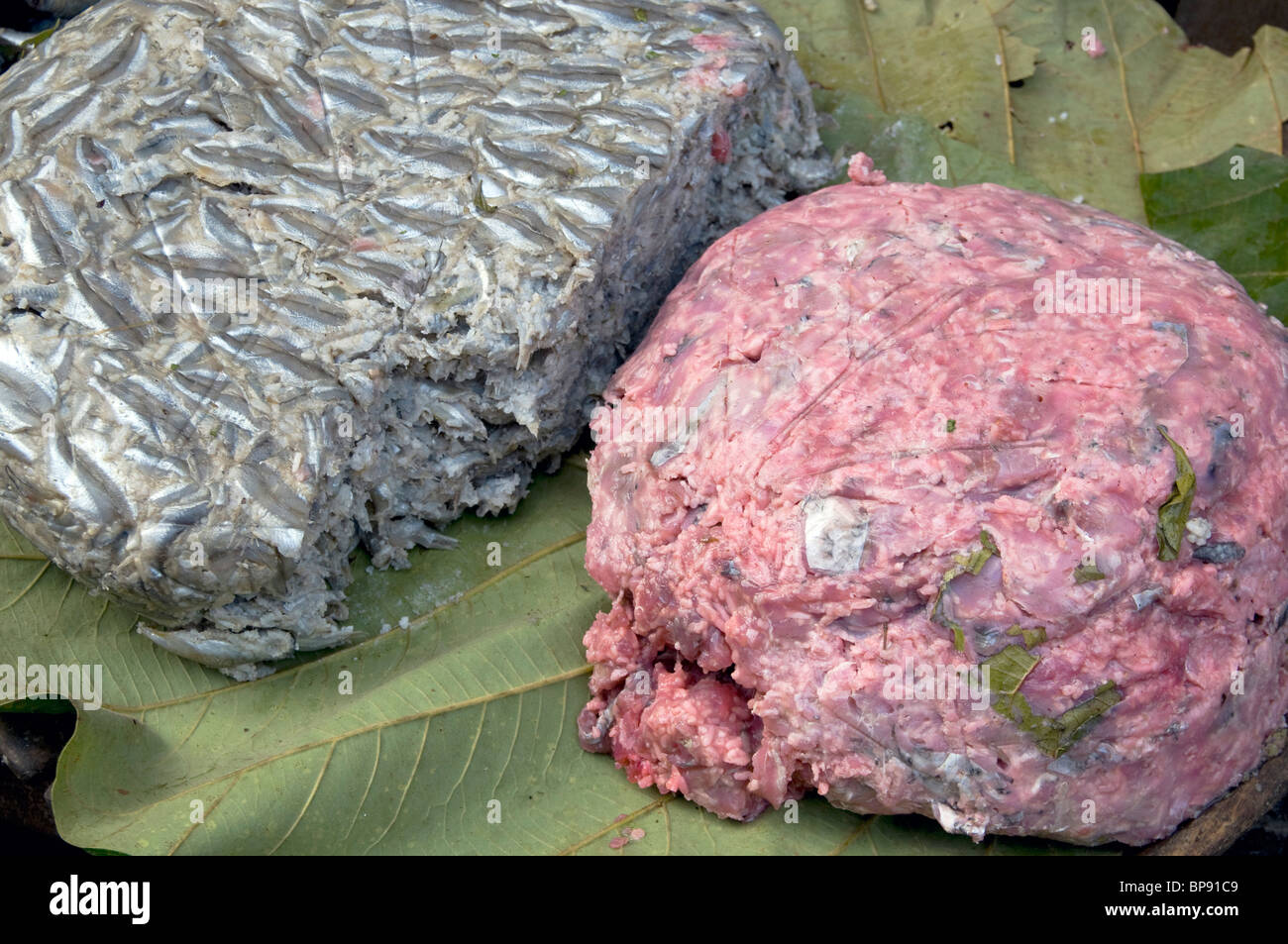 MYANMAR (BURMA) FISH VENDORS IN THE MARKET IN KATHA,, WHERE GEORGE ...