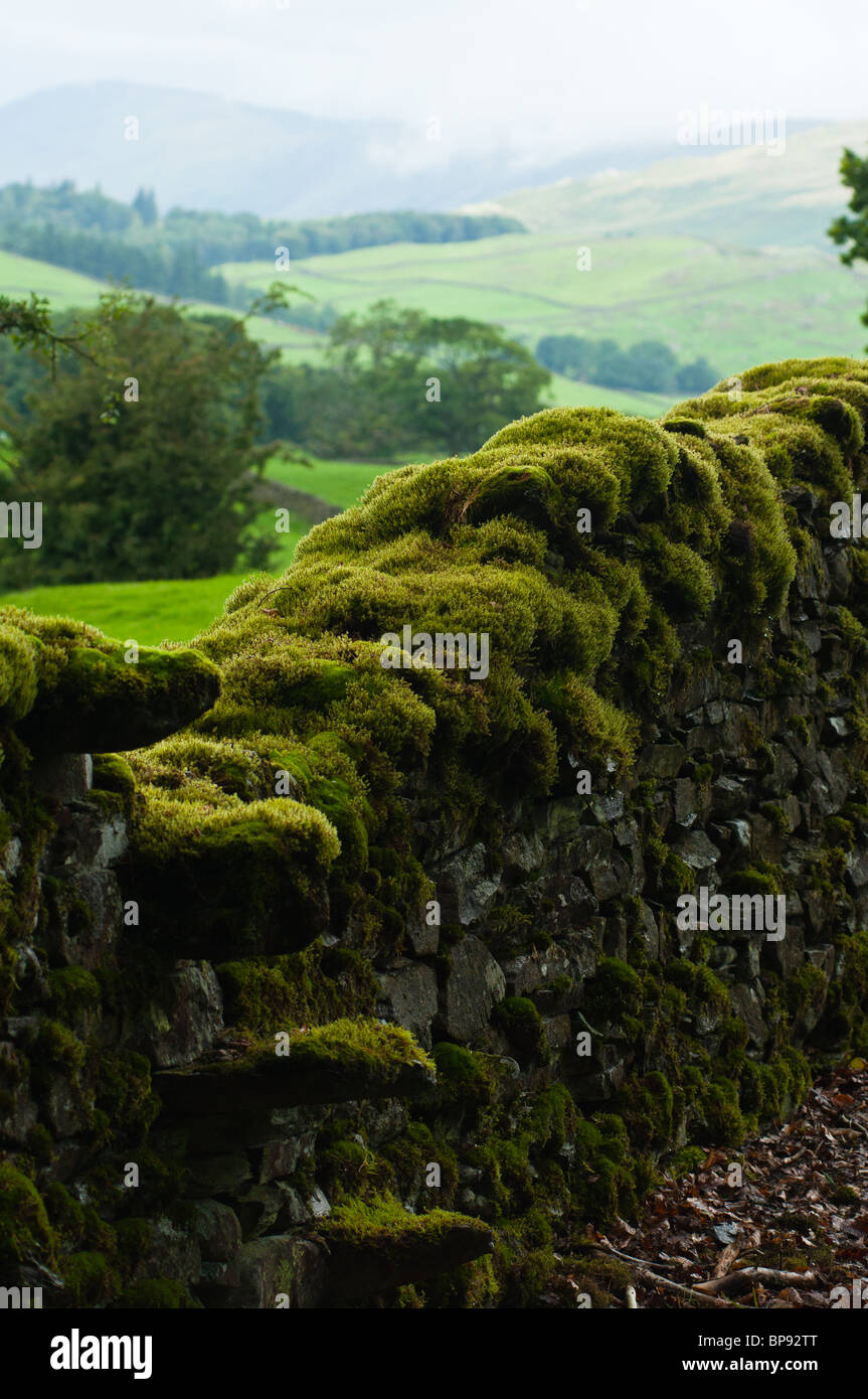 British stone wall hi-res stock photography and images - Alamy