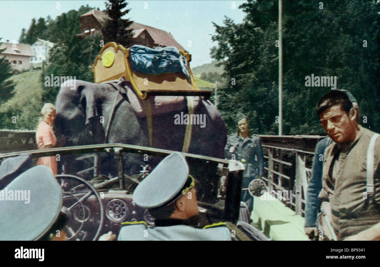 Hannibal Brooks (1969) High Resolution Stock Photography and Images - Alamy